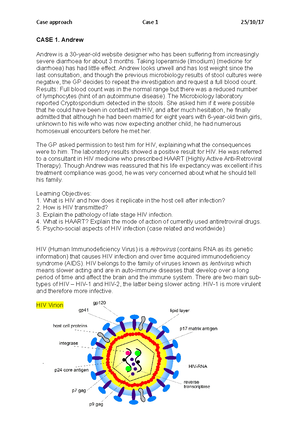 Measles Case Study Essay - Biomedical Approach to Problem Solving ...
