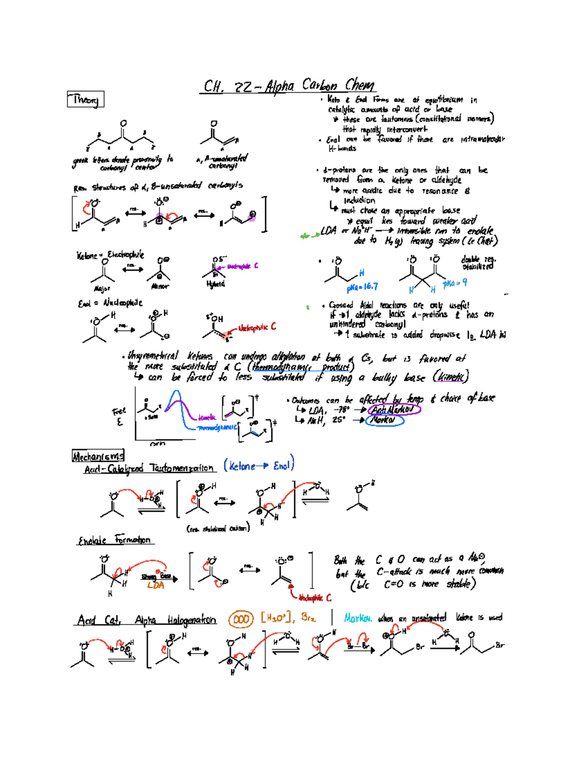 Reactions of alpha carbons - CH 22 Alpha CarbonChem Theory Keto ...