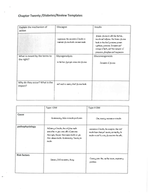 Patho Study - Filled templates and blank ones to practice - Templates ...