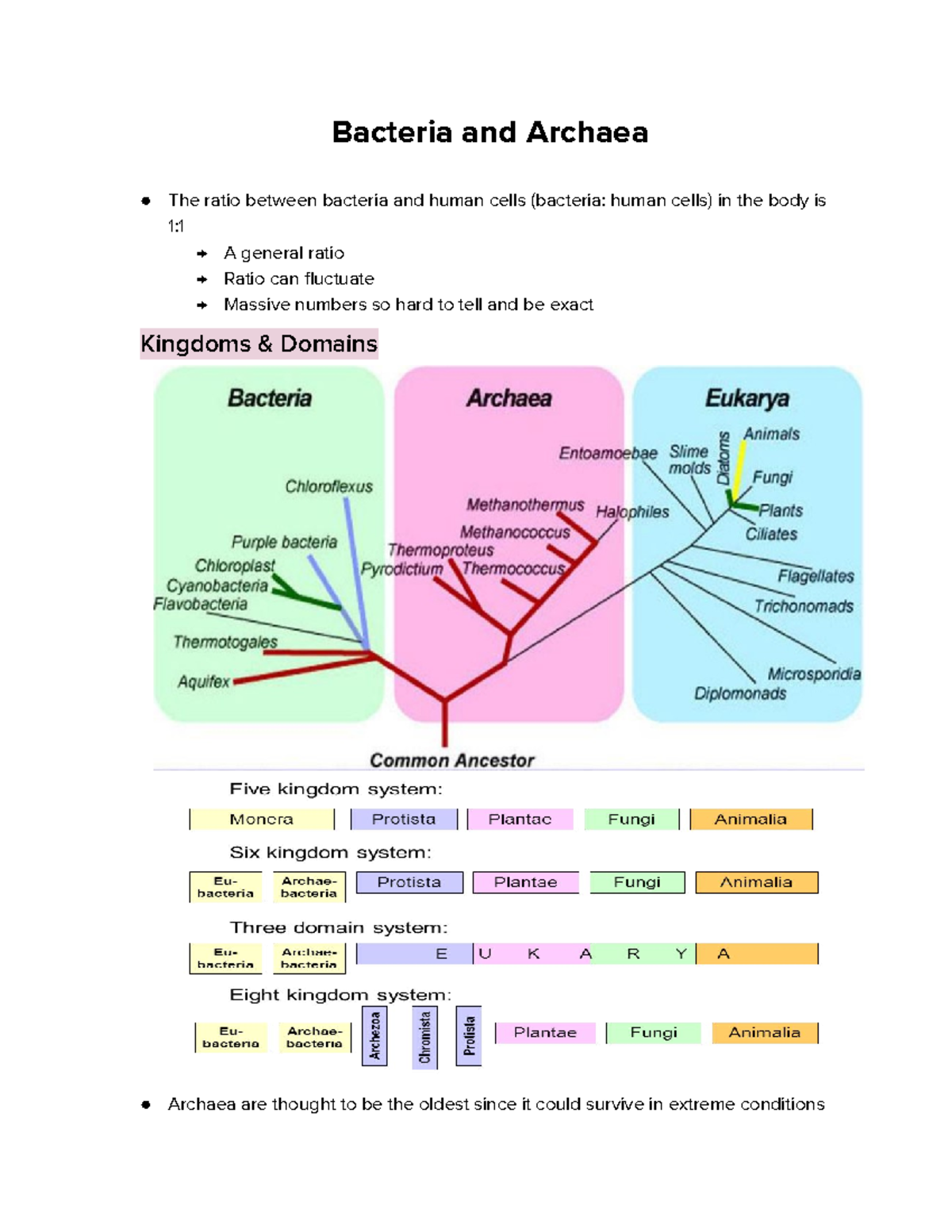 Bacteria and Archaea - Google Docs - Bacteria and Archaea The ratio ...