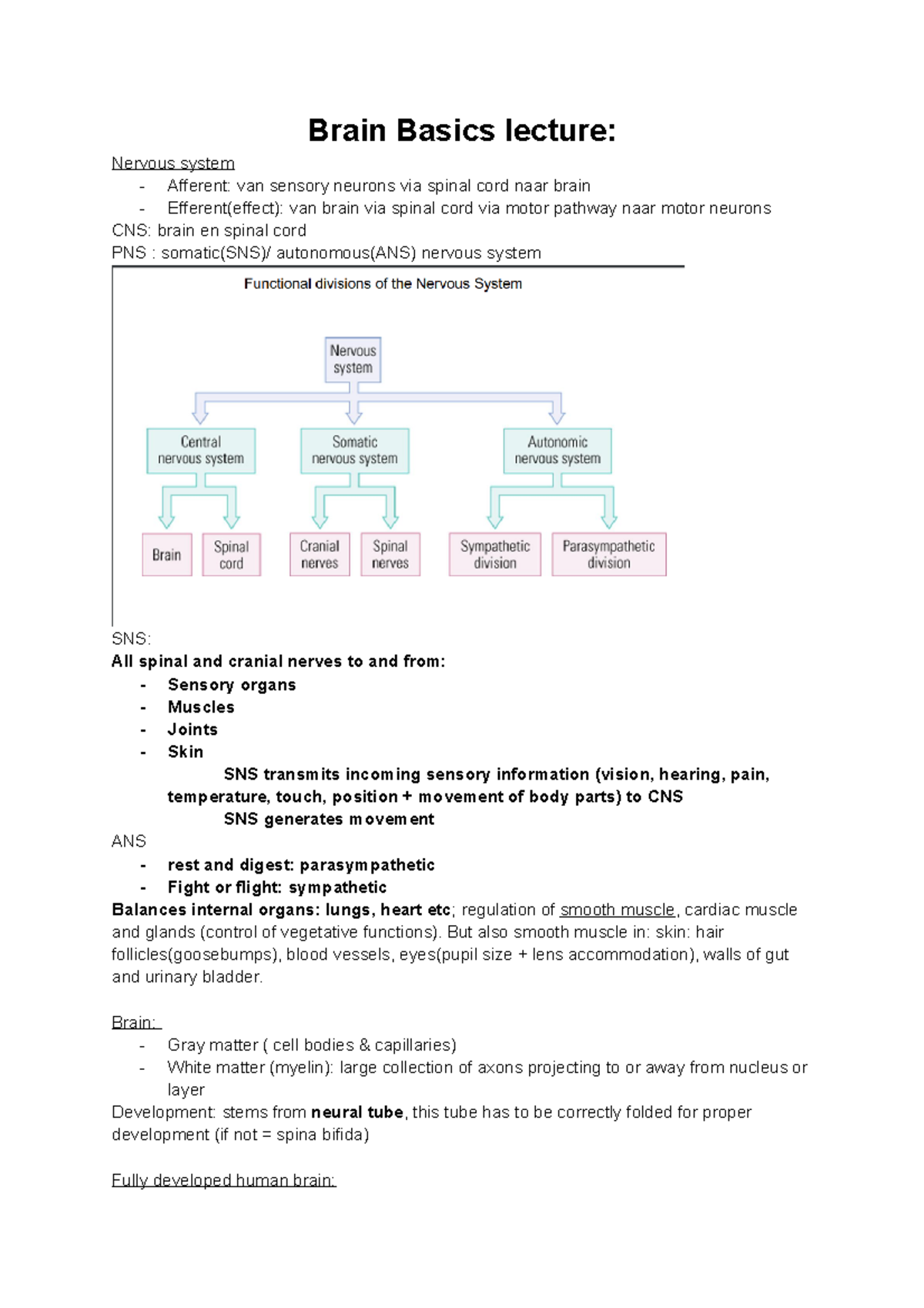 Summary cognitive neuroscience (foundations of behavioral neuroscience ...
