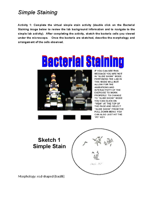 Worksheet - 7 GRAM Staining - Name ...