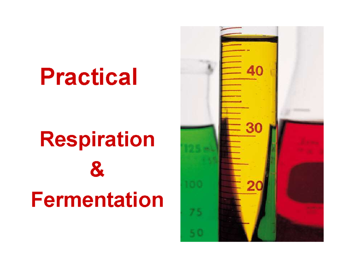 Practical 4 - Respiration and Fermentation - Practical Respiration ...