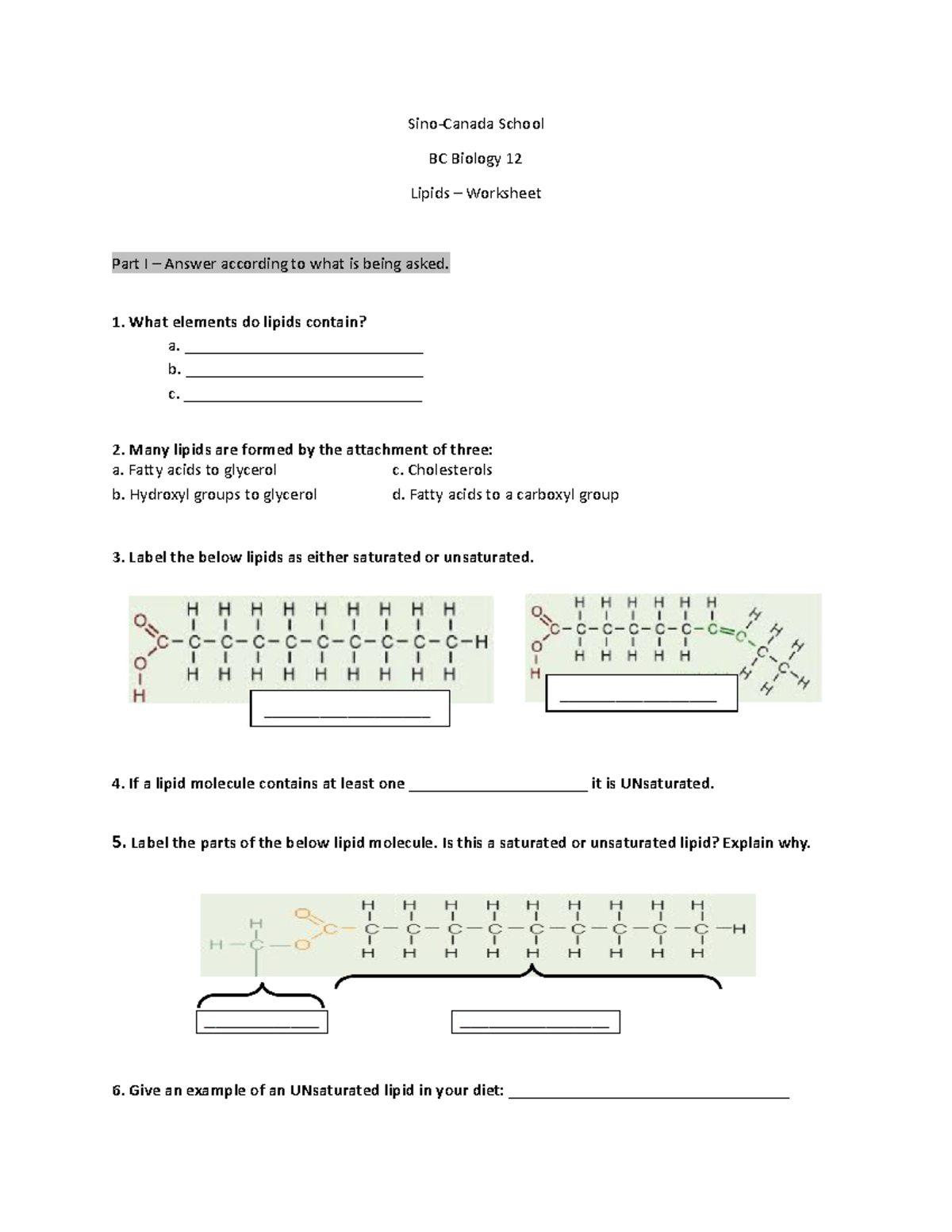 Exercise 5 - Lipids - Sino-Canada School BC Biology 12 Lipids ...