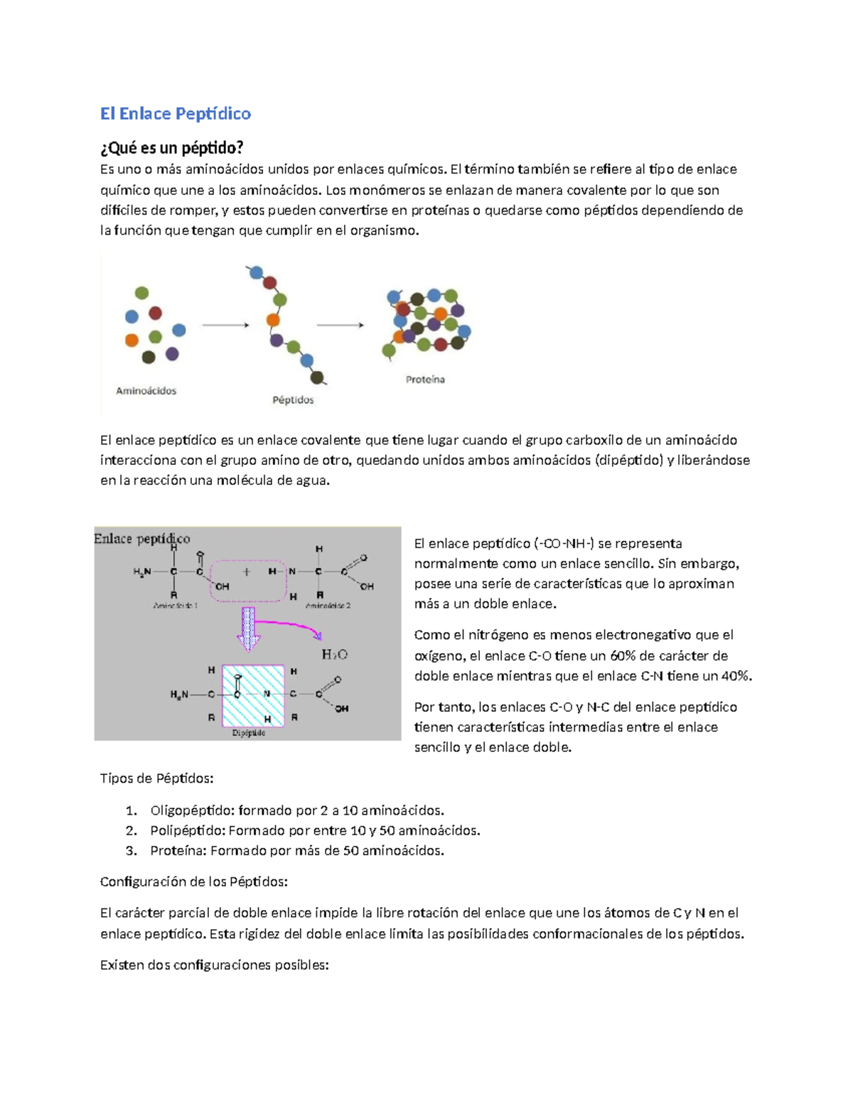 Enlace Peptídico y Proteínas - El Enlace Peptídico ¿Qué es un péptido ...