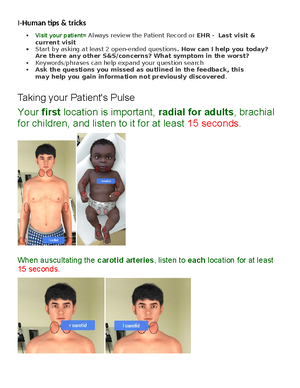I Human Auscultation tips - Auscultation Equipment Stethoscope There ...