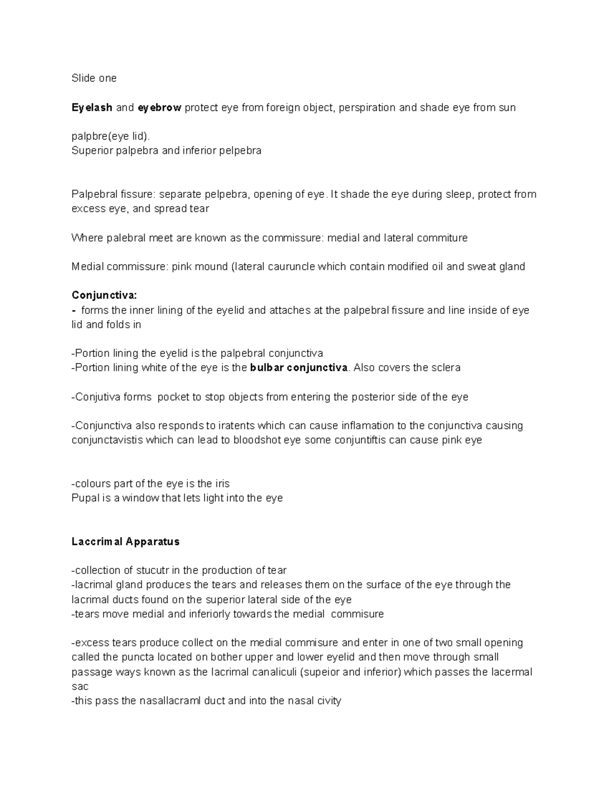 Special Senses Vision - Slide one Eyelash and eyebrow protect eye from ...