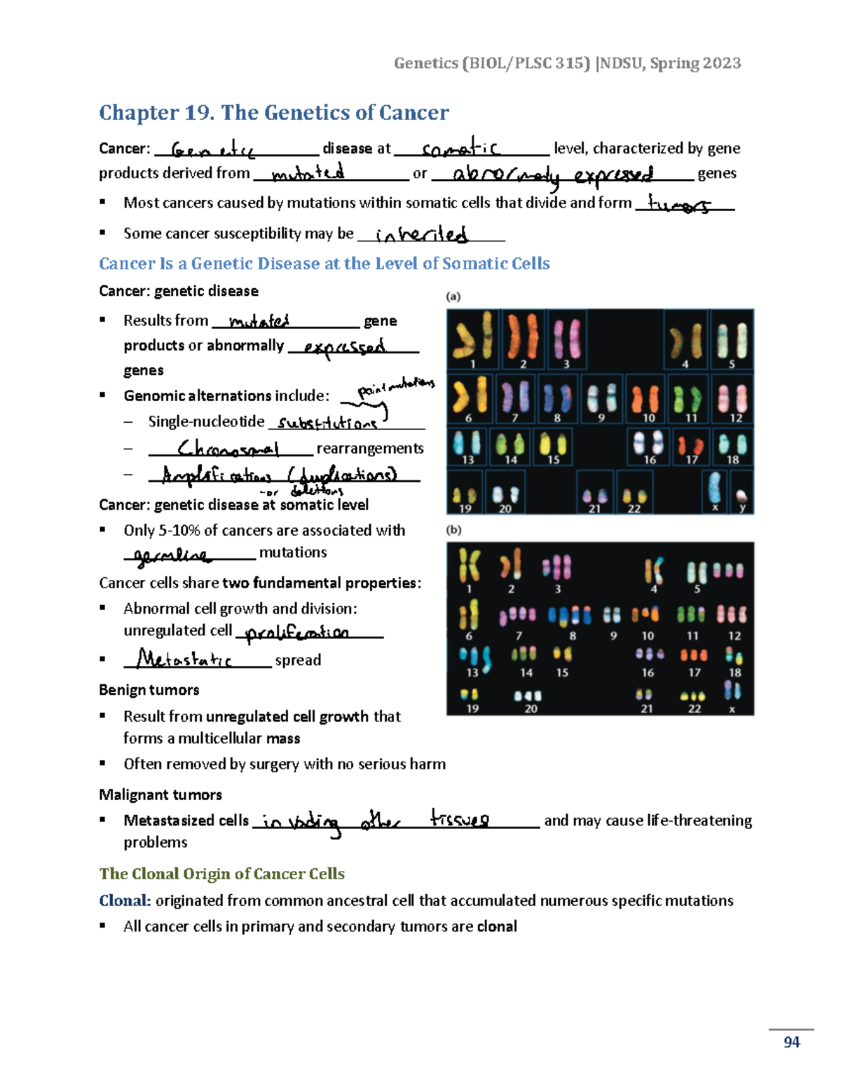 Last exam - Genetics notes related to the genetics of cancer ...