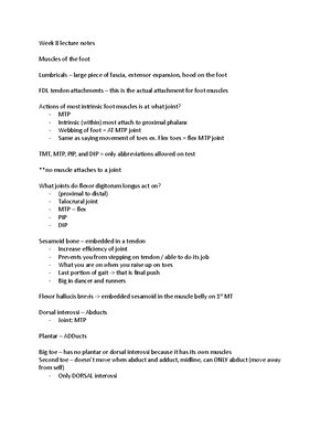 Handout-Anterior Abd Wall- Ing Canal and Anterior and Medial Thigh-CW ...