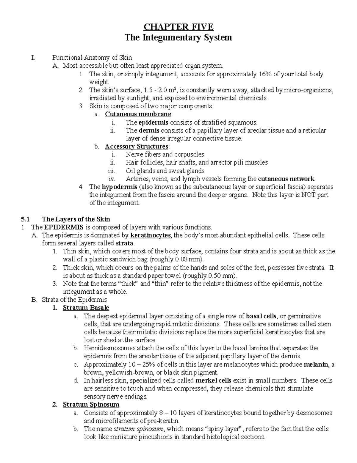 Ch. 5 - Mr Matheson's lecture notes - CHAPTER FIVE The Integumentary ...