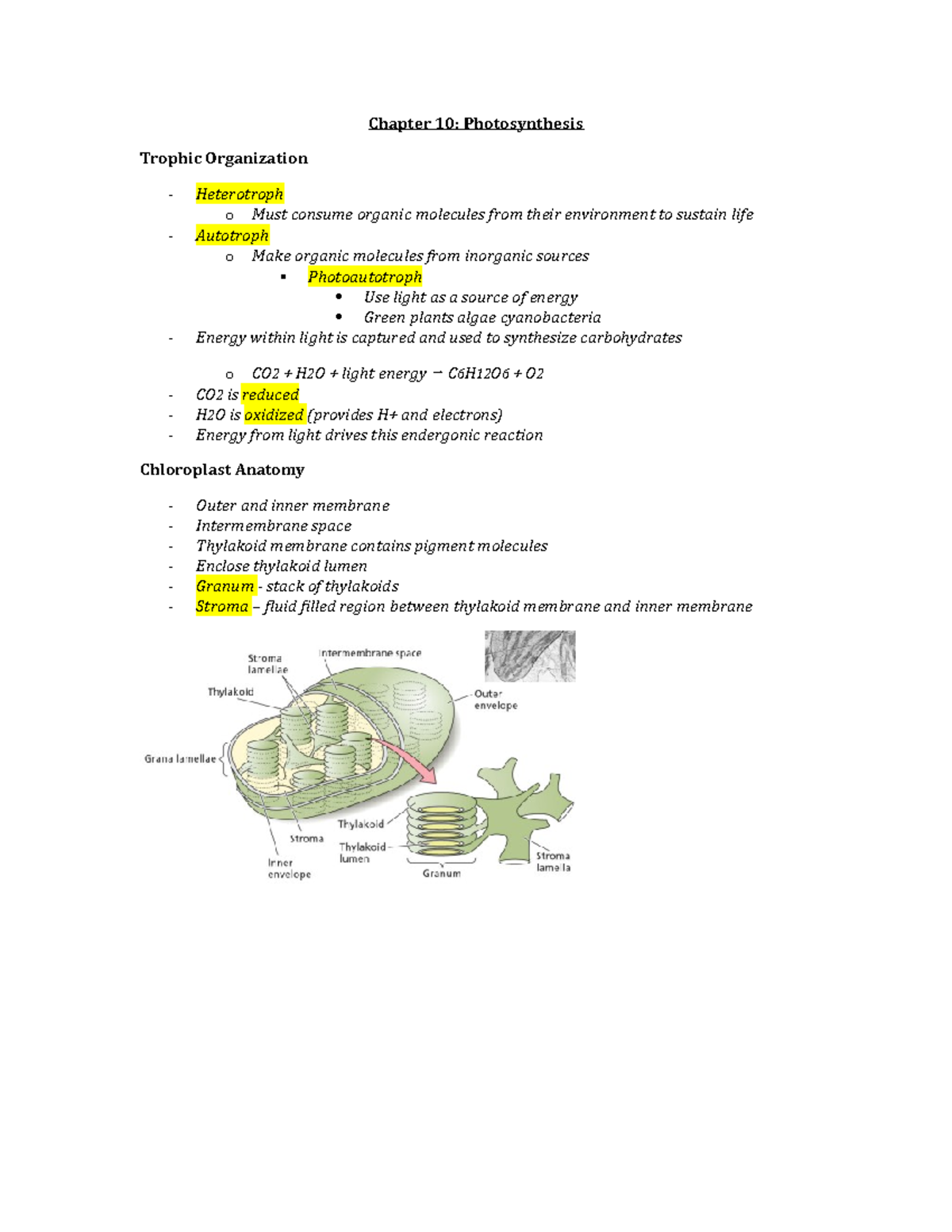Lecture notes, lectures 9-10 - Photosynthesis - Chapter 10 ...