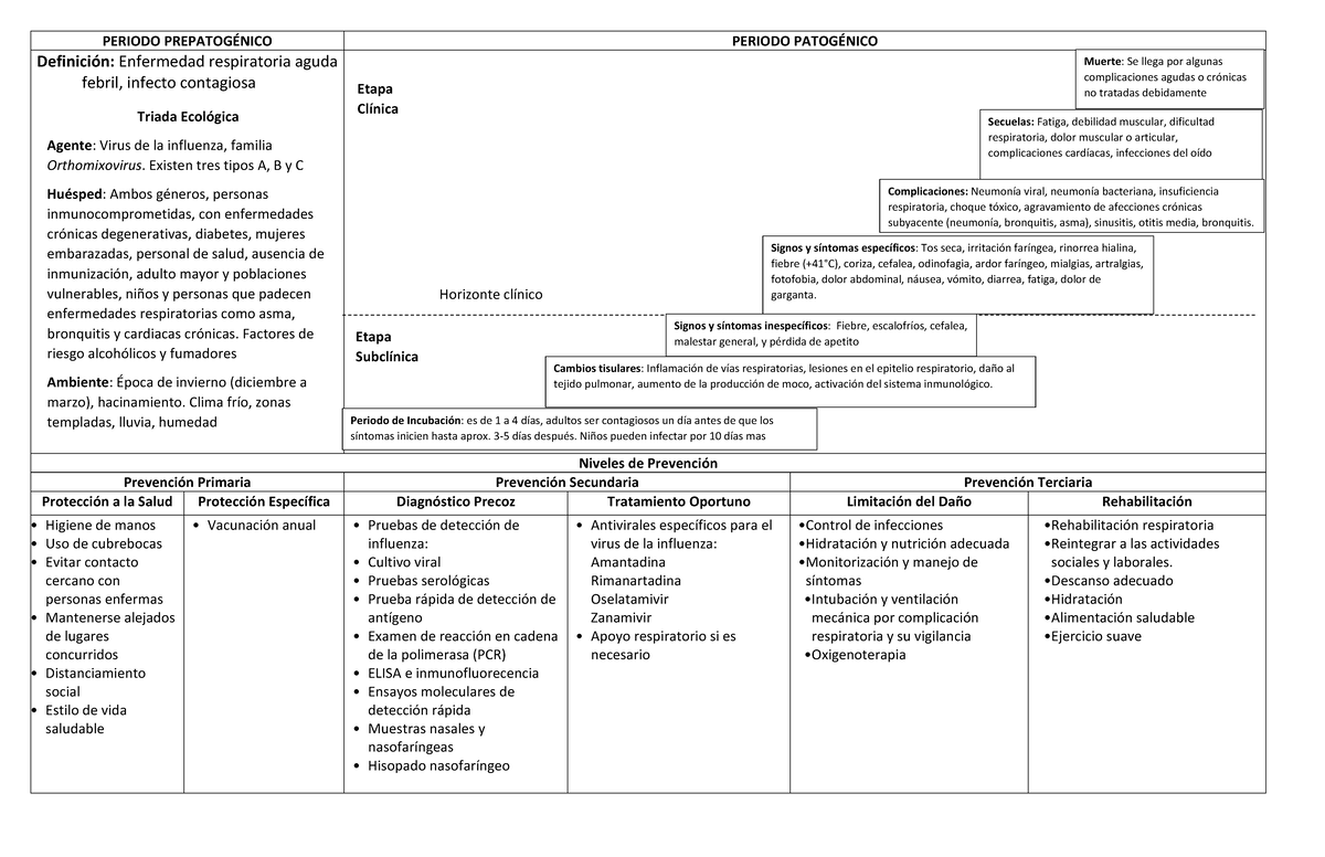 Historia Natural de la Enfermedad Influenza - PERIODO PREPATOGÉNICO ...