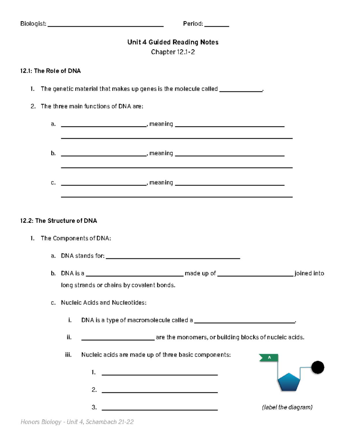 4.2.2 Guided Reading Notes 12.1-12.2, (1 7) Schoology - Biologist ...