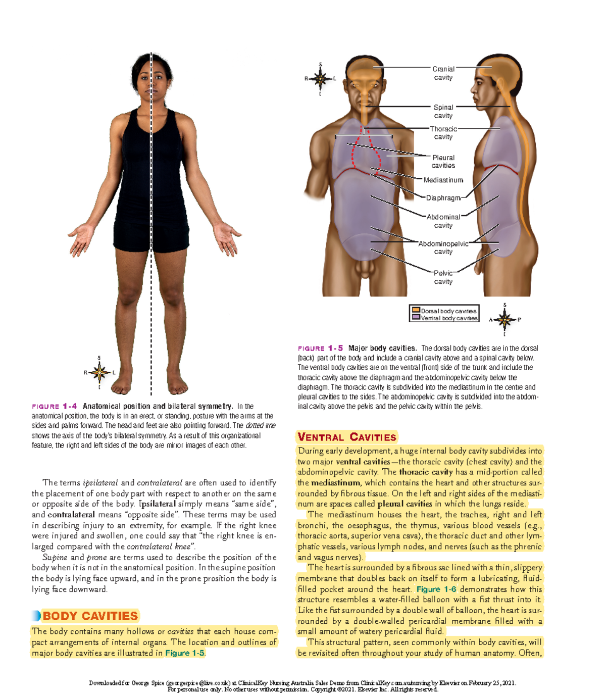 Module 2 Topic 3 Cavities - S L I R The terms ipsilateral and contralateral are often used to ...