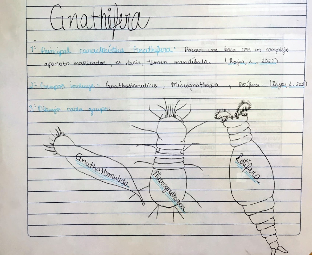 Manual Gnathifera - Bibliografía Alberto Rubín. (4 de marzo de 2019 ...