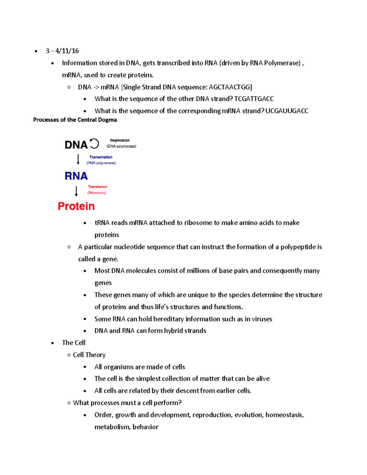Cell Structure - Lecture notes 4 - • 3 - 4/11/16 • Information stored ...