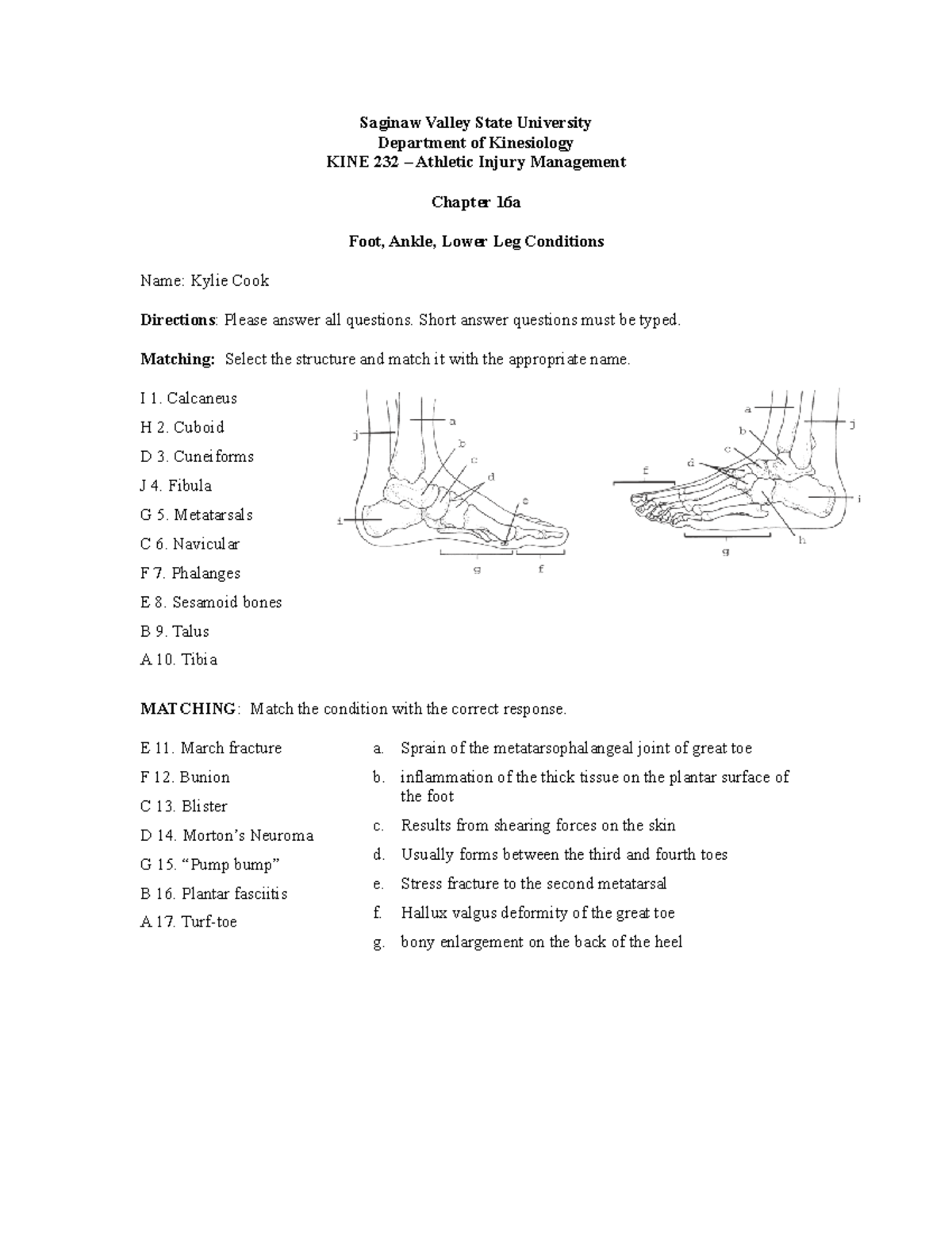 2021 kine 232 chapter 16a worksheet - Saginaw Valley State University ...