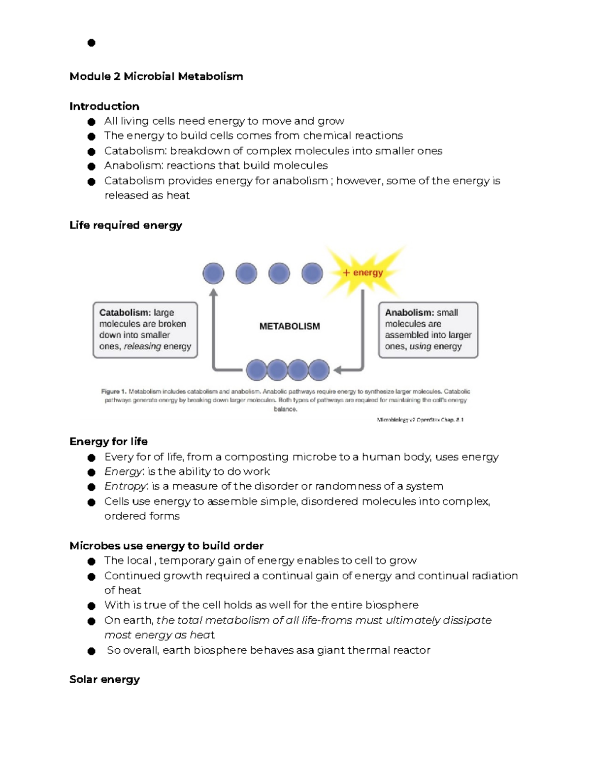 Module 2 - notes for midterm 2 - Module 2 Microbial Metabolism ...