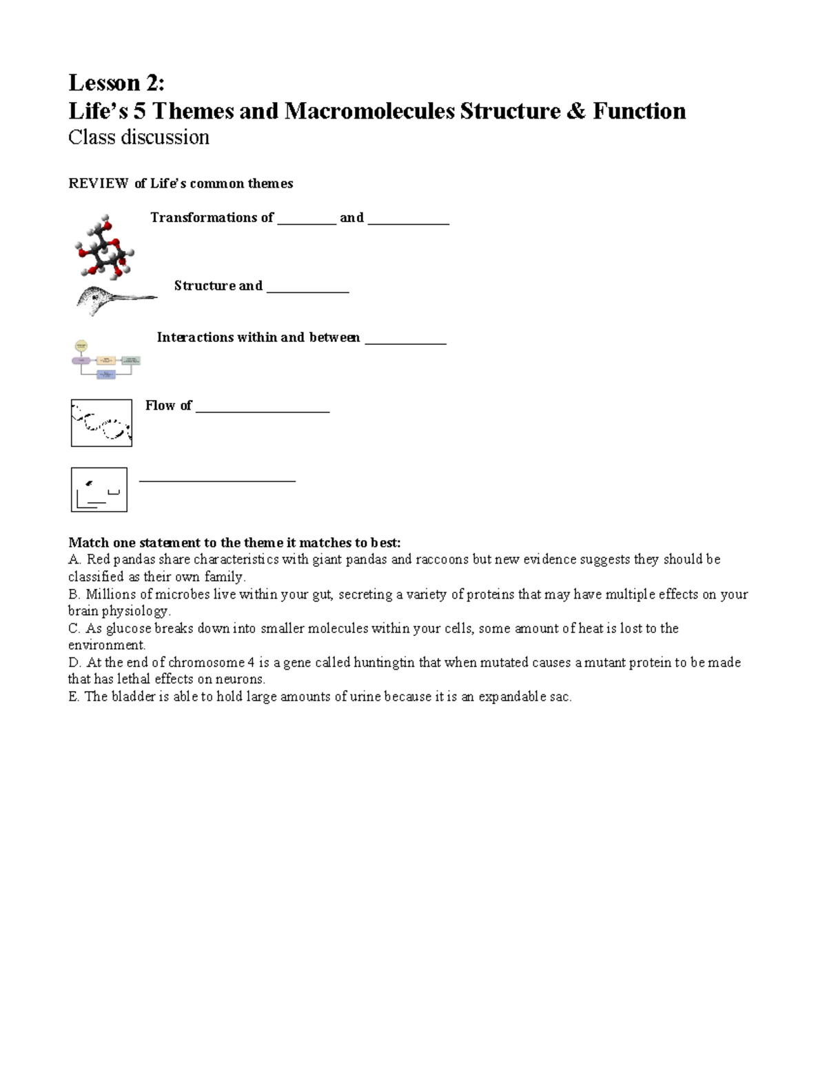 Lesson 2 Class Outline Structure and Function of Macromolecules ...