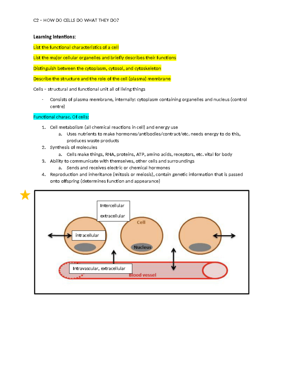 C2 Notes - Learning Intentions: List the functional characteristics of ...