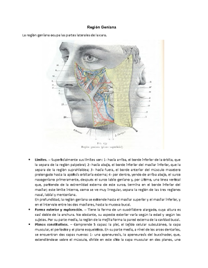 Region Temporal - Región Temporal Situación y límites. – La región ...