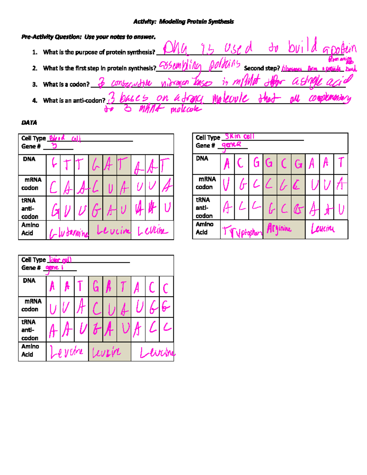 Lab - Worksheets - Dna is used to ####### buildaportein fromamingds ...