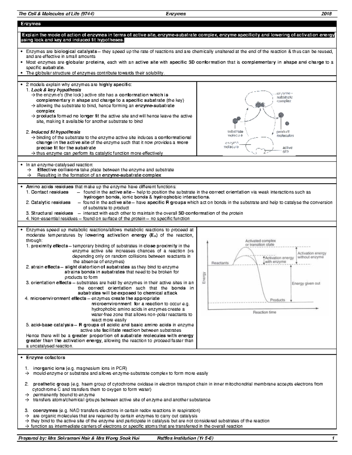4) Enzymes Summary 9744 2018 - Enzymes Explain the mode of action of ...