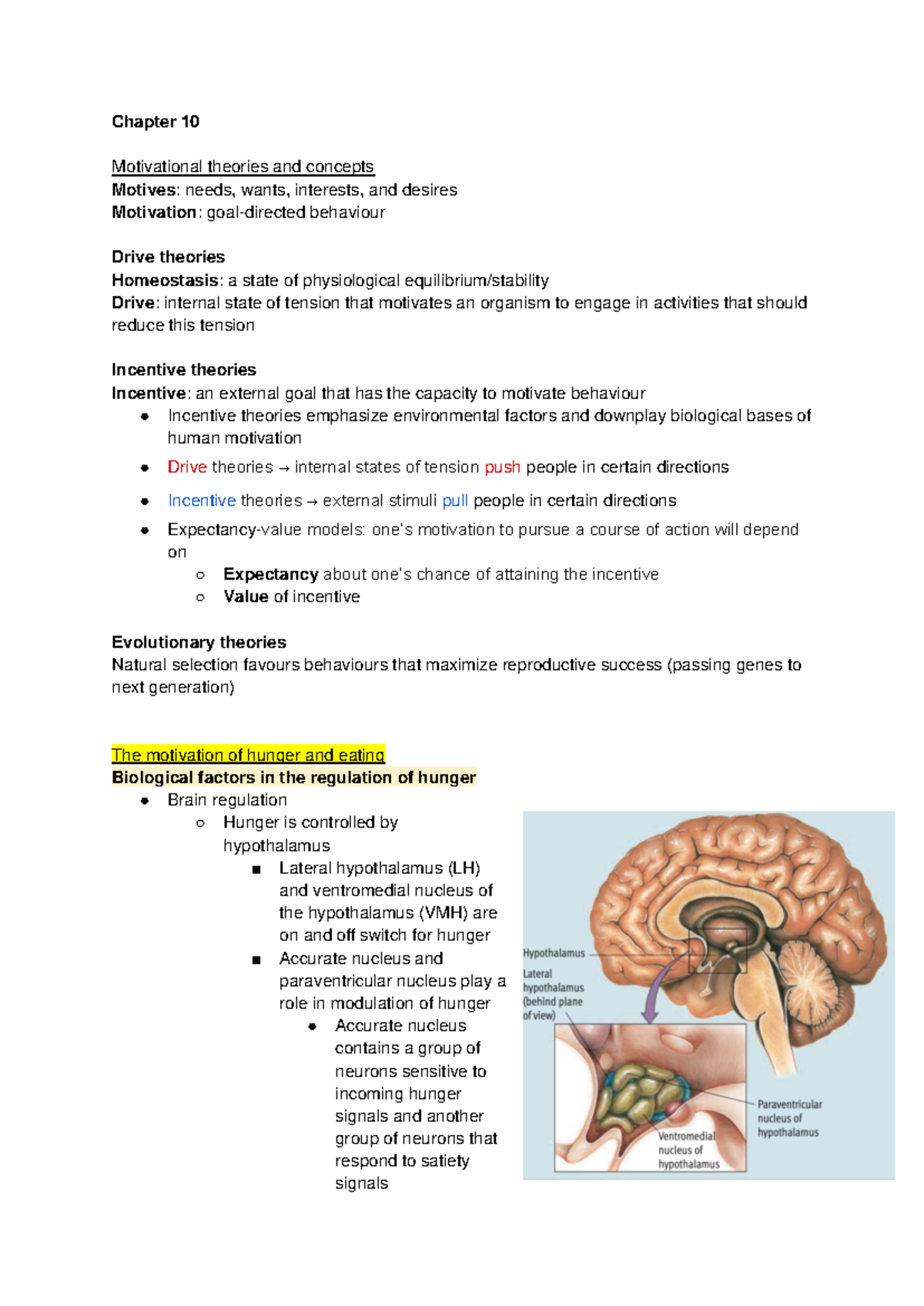 Chapter 10 - Chapter 10 Motivational theories and concepts Motives: needs, wants, interests, and ...