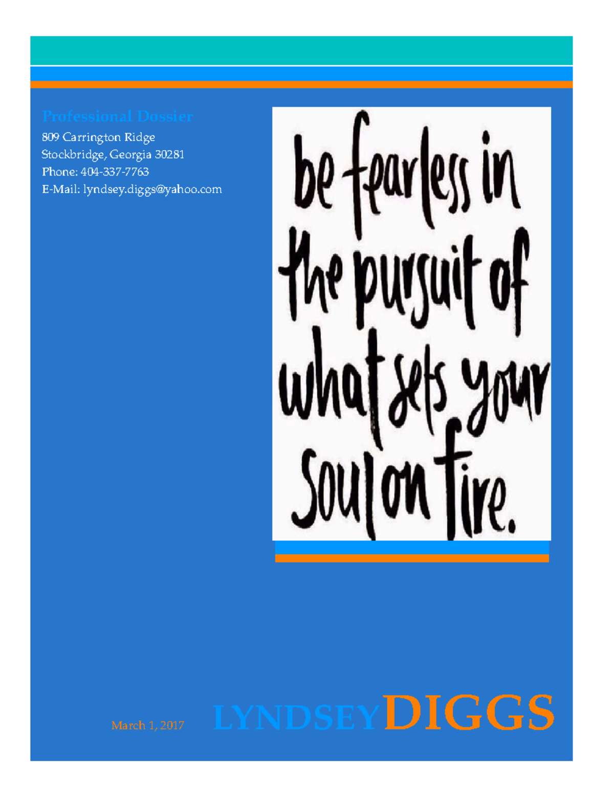 Professional portfolio for industry - Professional Dossier 809 ...