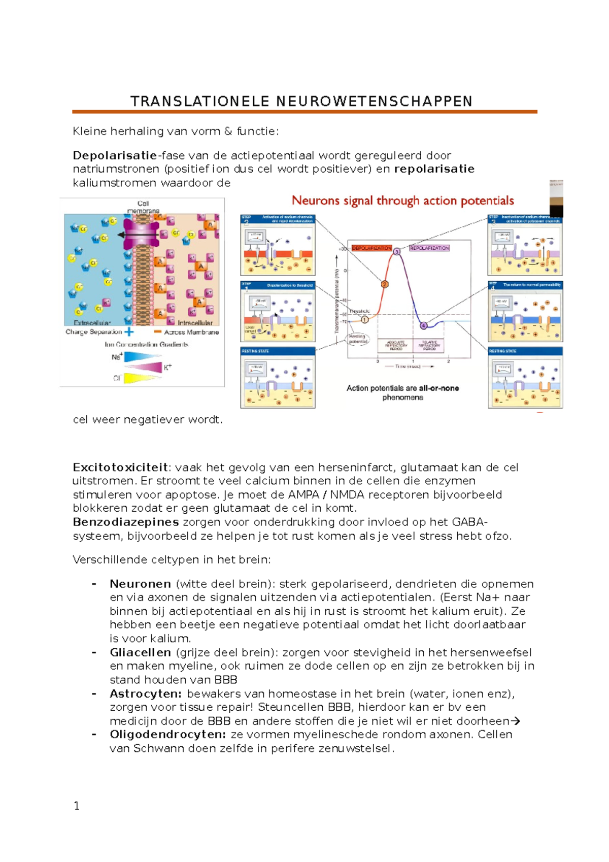 SV translationele wetenschappen - TRANSLATIONELE NEUROWETENSCHAPPEN ...