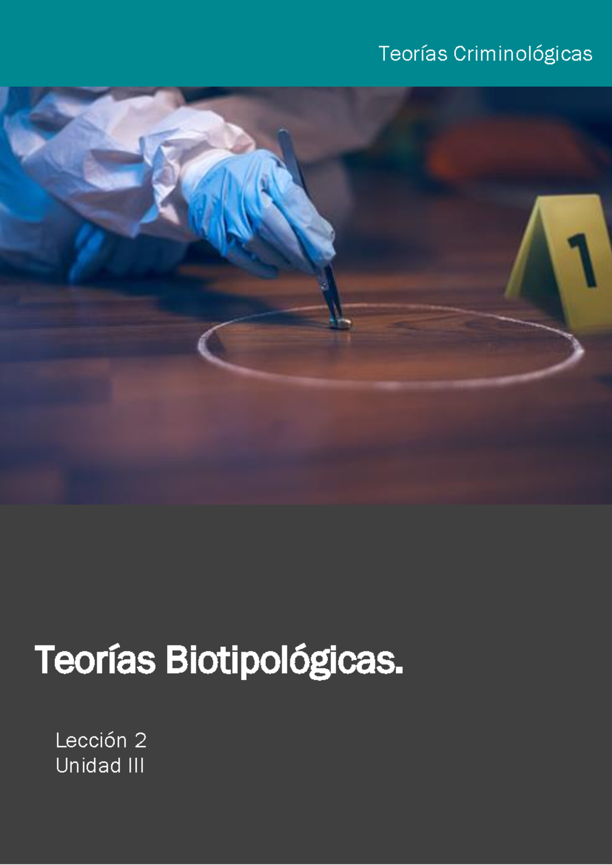 U3-2 Teor%C3%ADas+Criminol%C3%B3gicas - Teorías Criminológicas Teorías ...