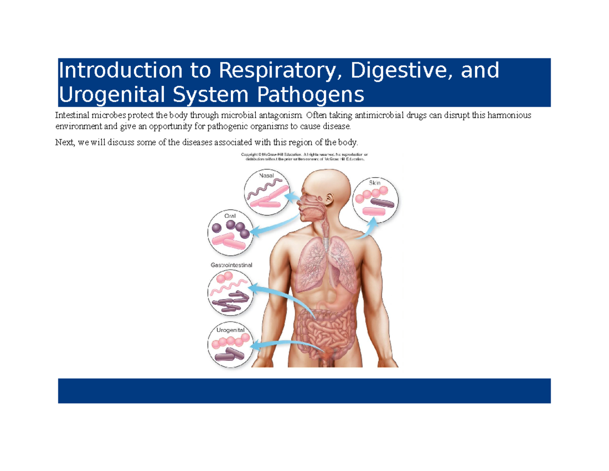 Edapt week 7 - Introduction to Respiratory, Digestive, and Urogenital ...