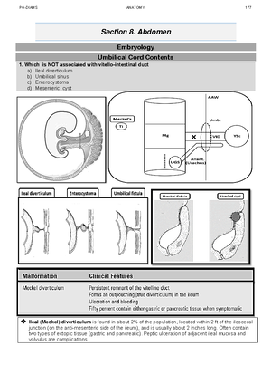Pogil Muscle Contraction - Muscle Contraction Model 1: Anatomy of a ...