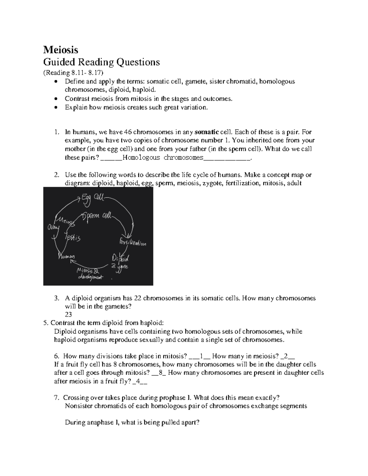 L10 Guided Reading Questions Meiosis - Meiosis Guided Reading Questions ...