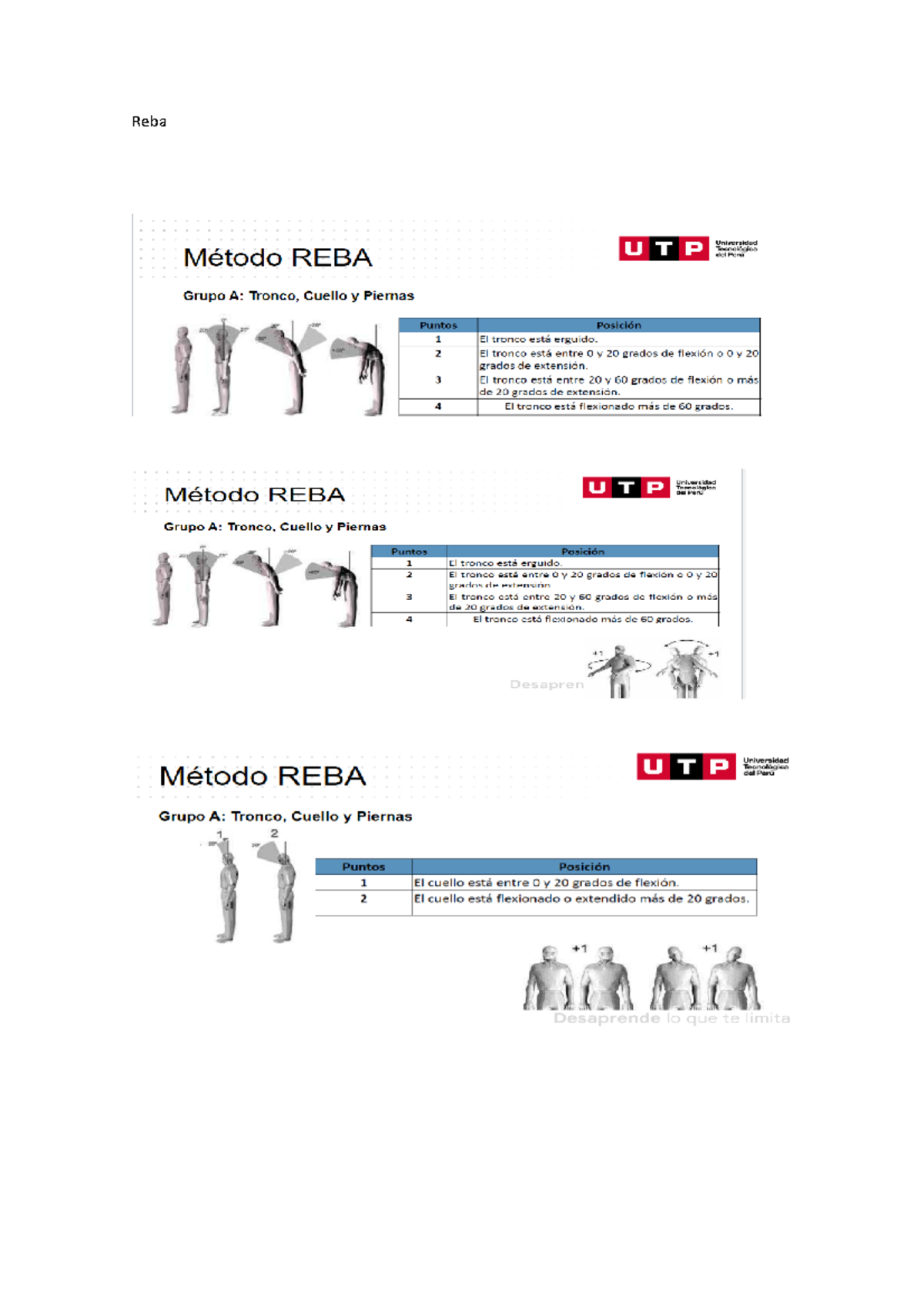 Reba - REBA - Ergonomía y Estudio del Trabajo - Reba - Studocu