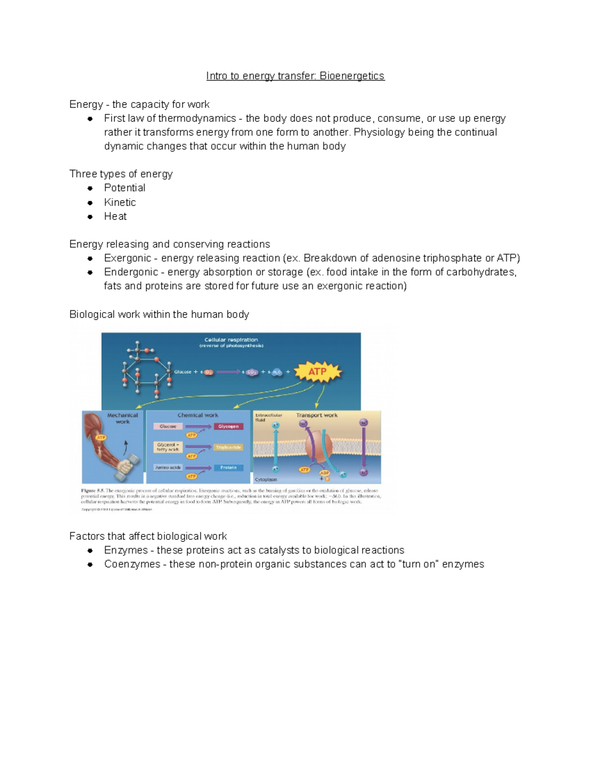 Exercise Physiology EXAM 3/Final Exam Material - Intro to energy ...
