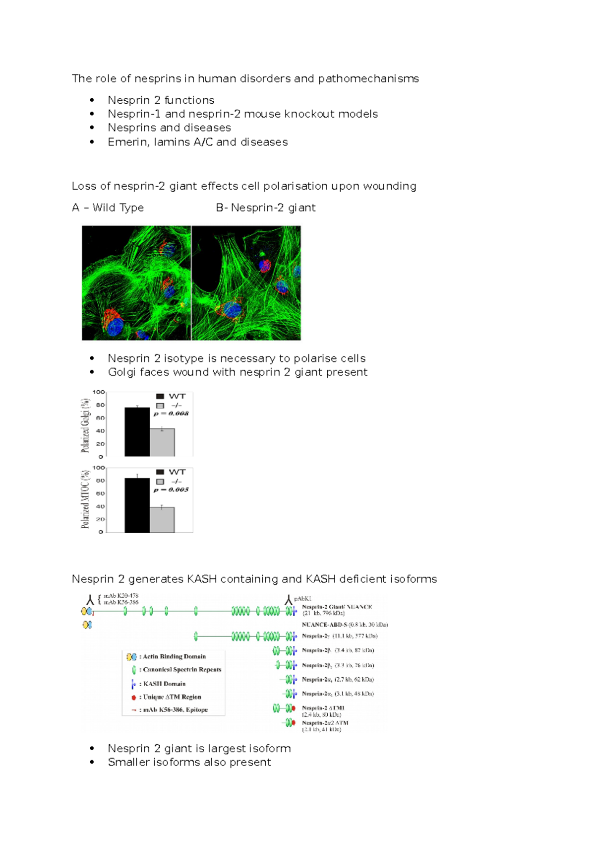 Lecture 8 - LINC complex based pathomechanics in disease - BIOL3481 ...