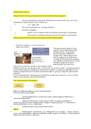 Development of Attachment notes - THE DEVELOPMENT OF ATTACHMENT ...