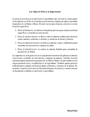 Las plantas C2, C3 Y CAM - Resumen de clases - Misael Díaz Las plantas ...