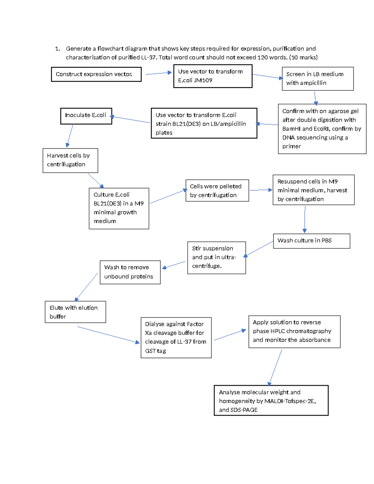 BIOC003 tutorial 5 answers - Generate a flowchart diagram that shows ...