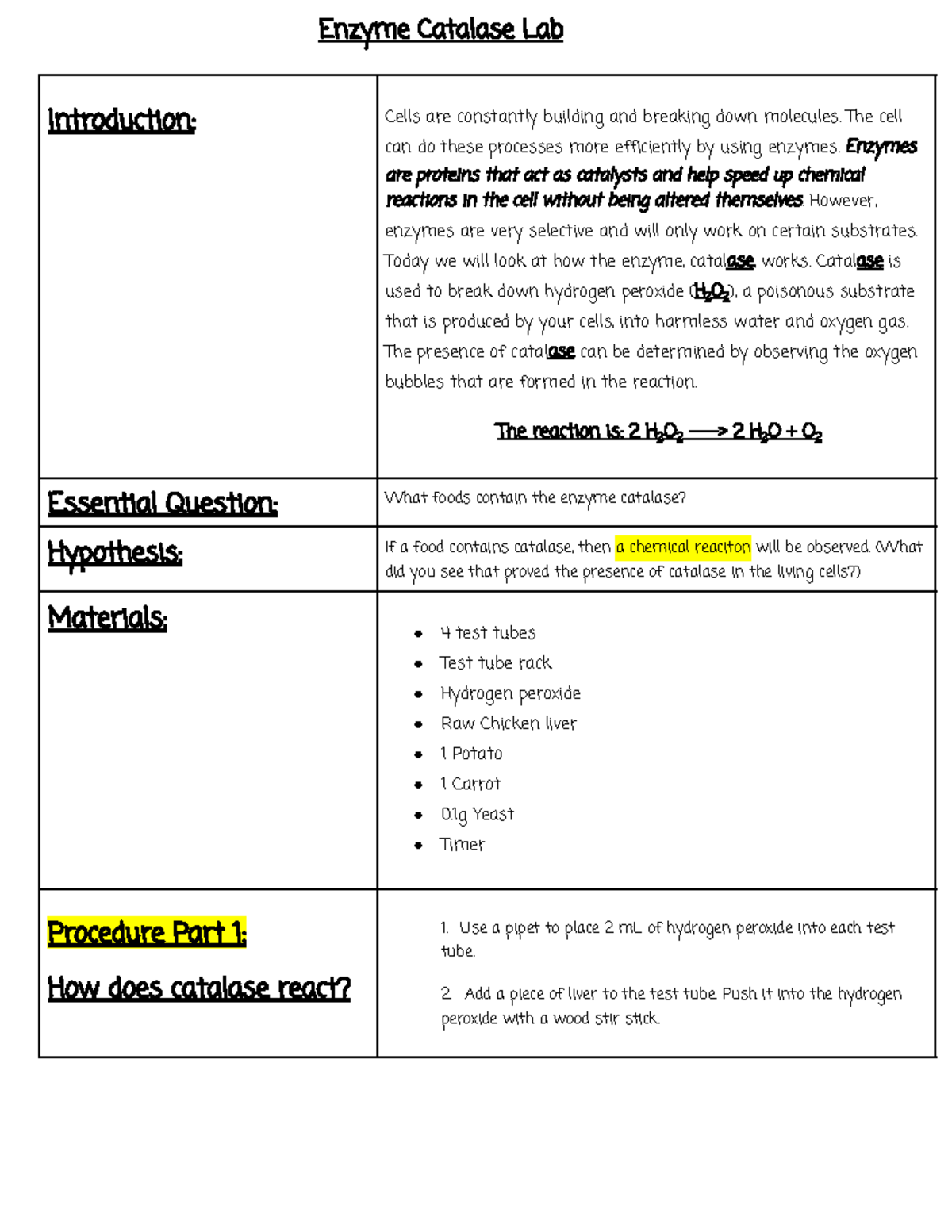 Copy of Enzyme Catalase Lab - Enzyme Catalase Lab Introduction: Cells ...