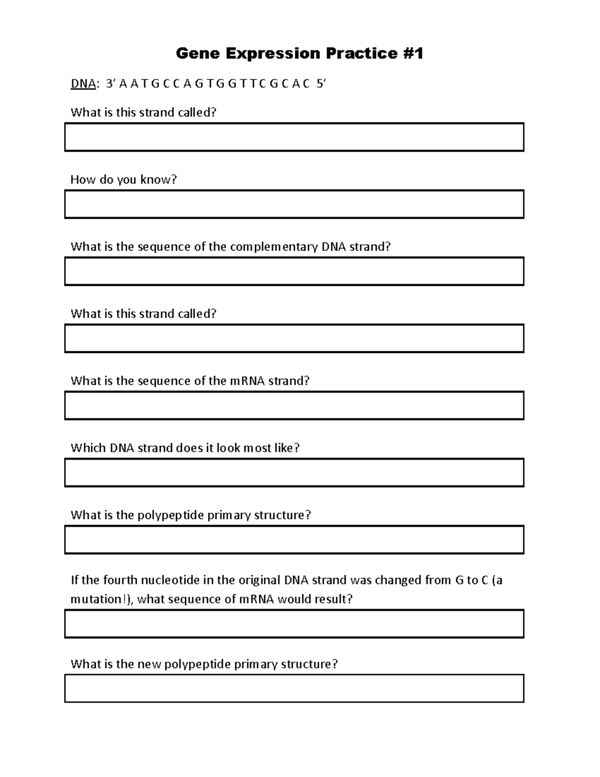 Gene expression practice problems - Gene Expression Practice DNA: 3’ A ...