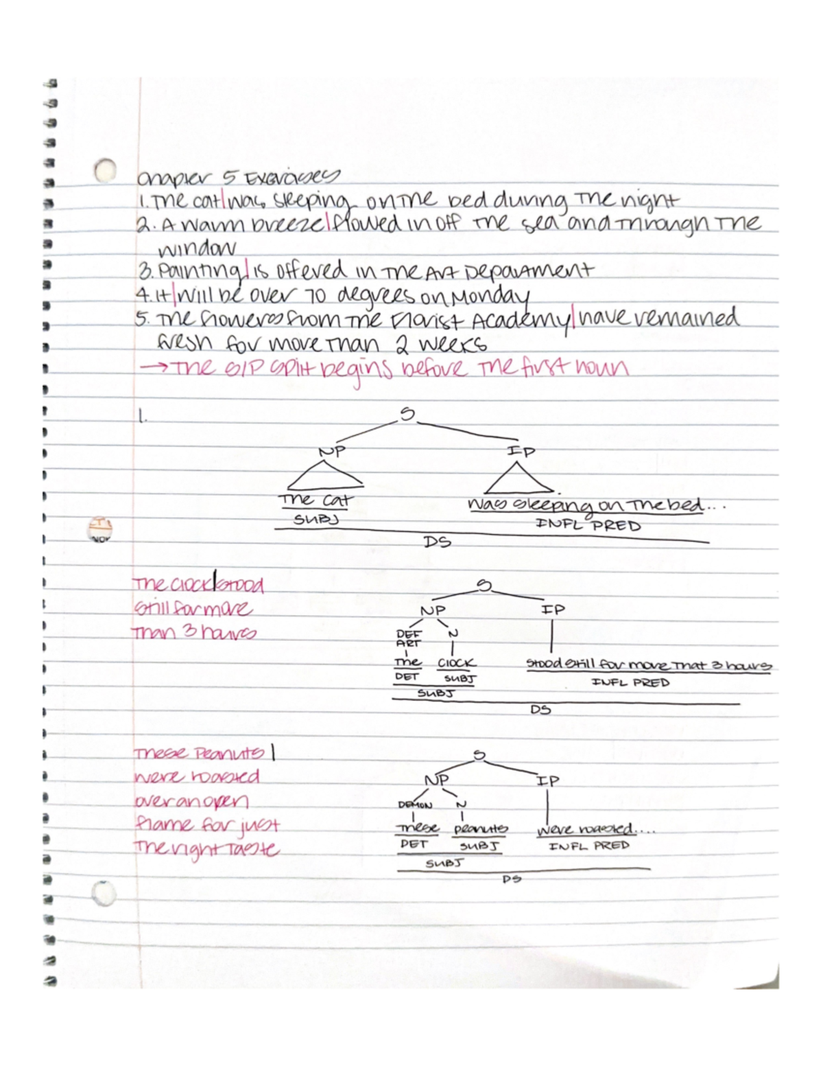 ENG 243 Chapter 5 Exercises - ENG 243 - Studocu