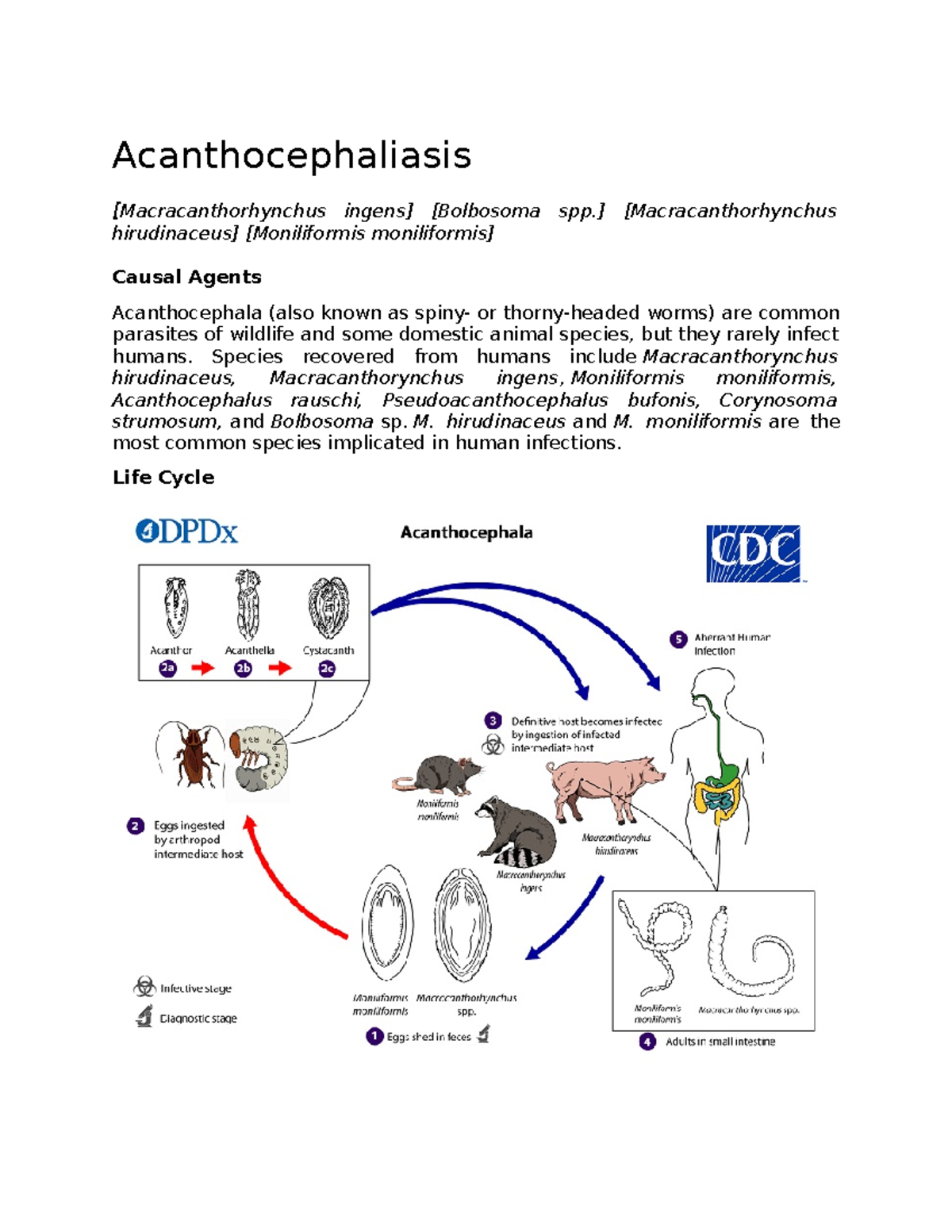 Acanthocephaliasis - Lecture notes 1 - Acanthocephaliasis ...
