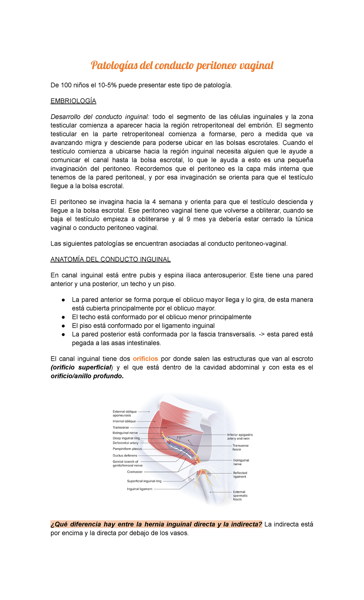 2. Clase conducto peritoneo vaginal - Patología de conduct peritone ...