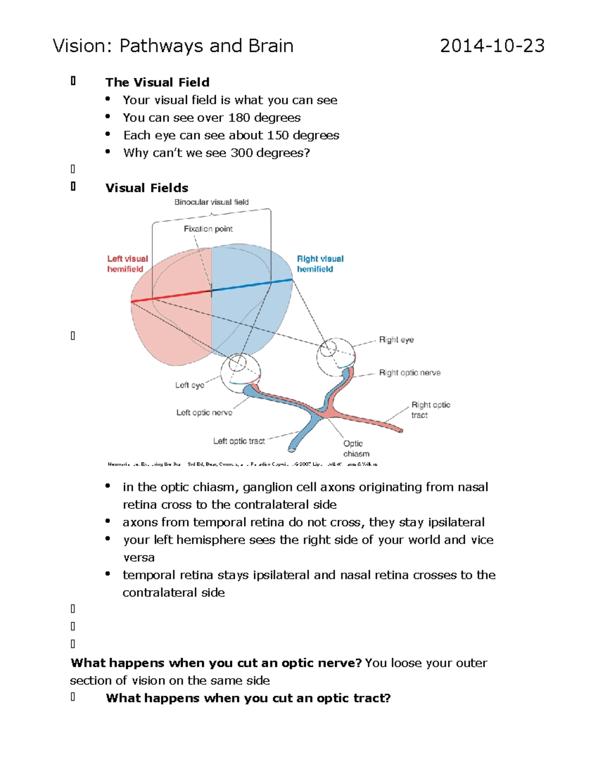Vision- Pathways and Brain - There specializations can be demonstrated ...