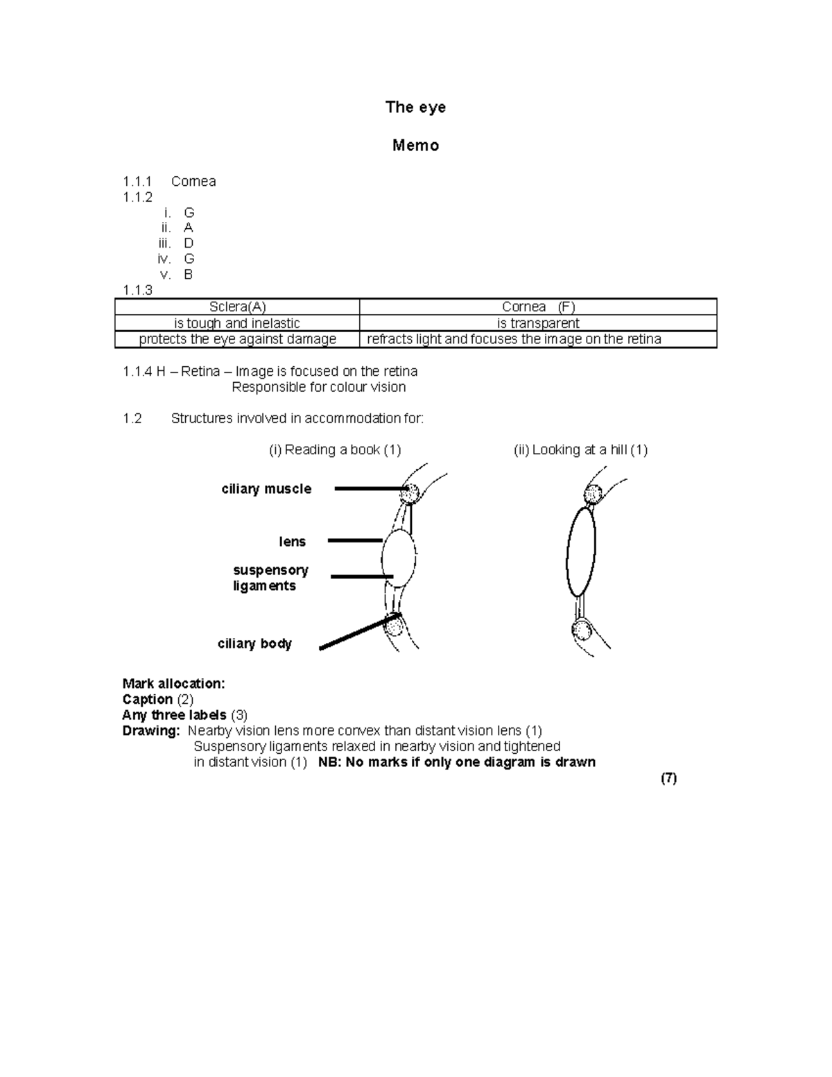 The eye memo worksheet - Life science one pager on the eye and how it ...