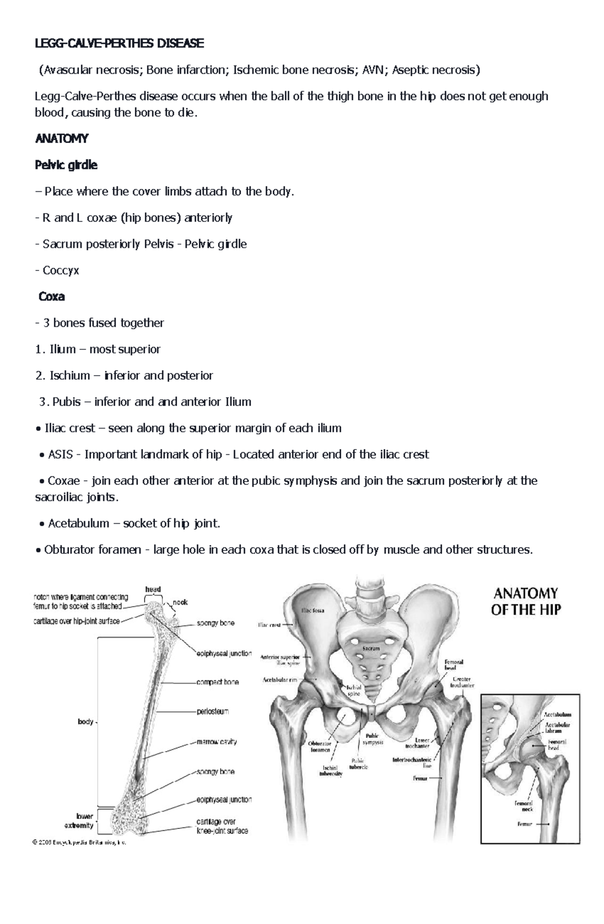 LCPD - LCPD description etc - LEGG-CALVE-PERTHES DISEASE (Avascular ...