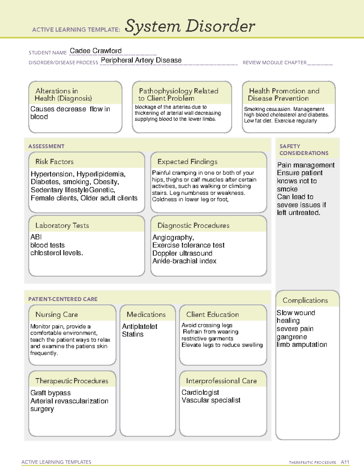 PAD 617 - ATI - ACTIVE LEARNING TEMPLATES THERAPEUTIC PROCEDURE A ...