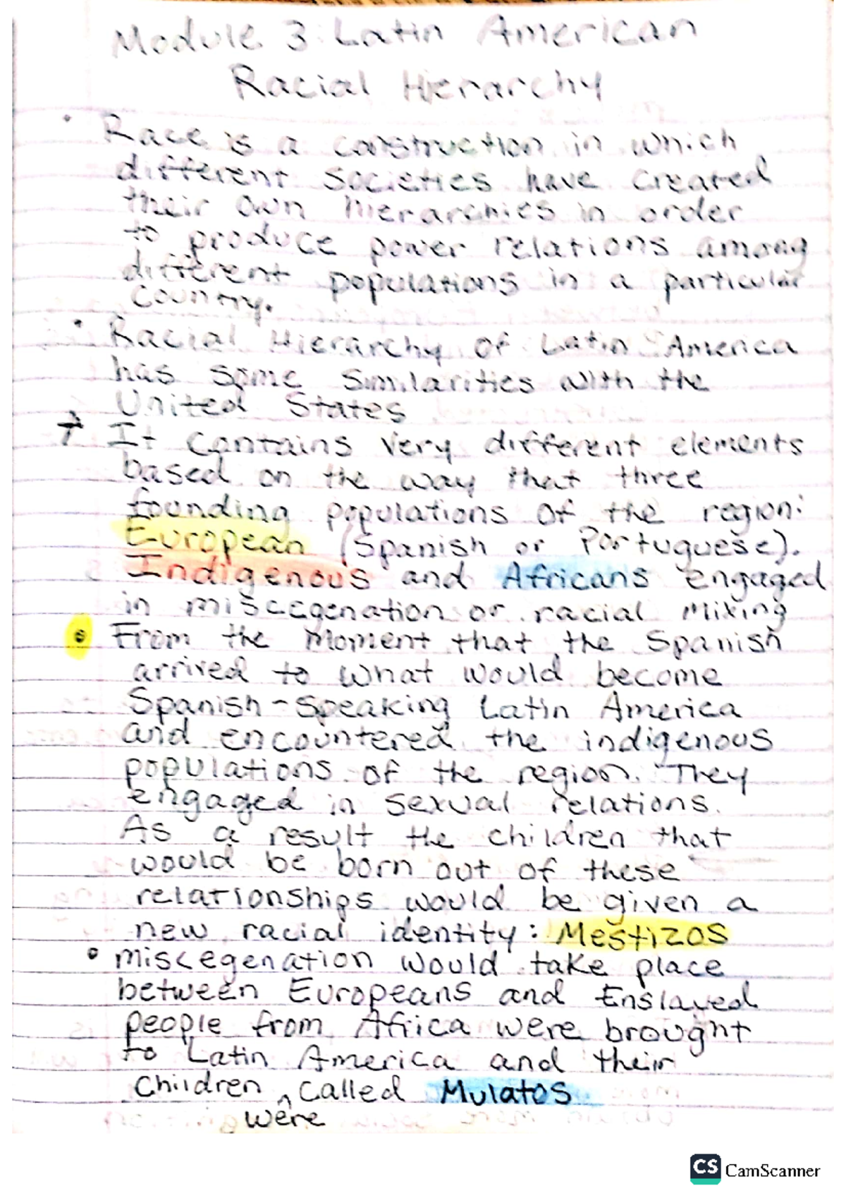 Module 3 Latin American Racial Hierarchy - LALS 1 - Studocu